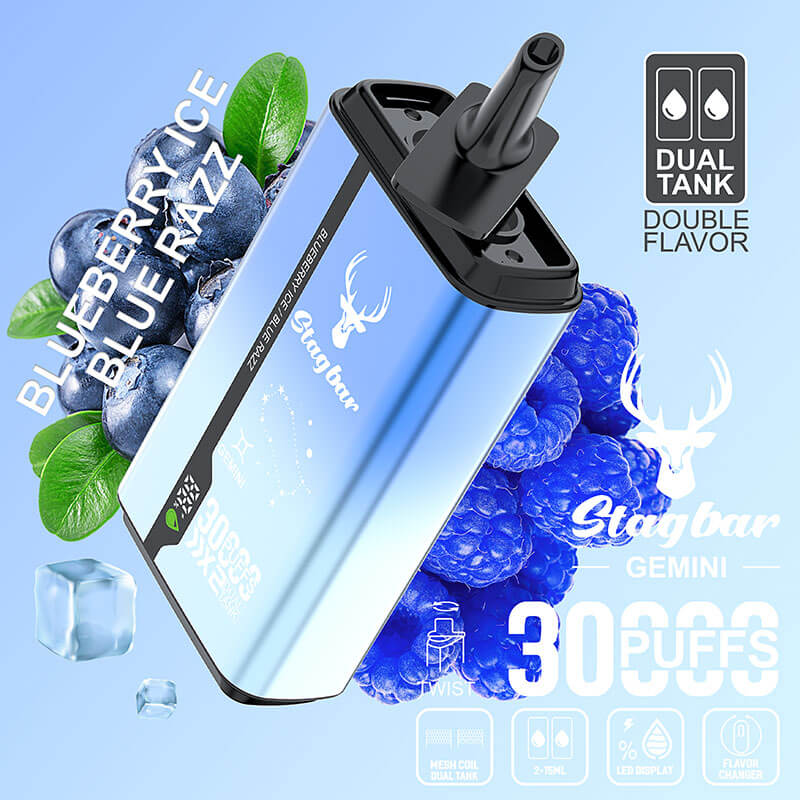 STAG BAR Gemini 30000 Puffs 2 Flavors in 1 - XMCVAPE